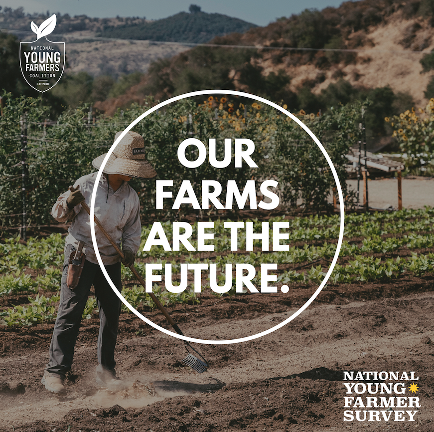 Help us build a farm bill that serves young farmers!