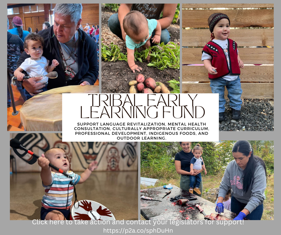 Support the Tribal Early Learning Fund!