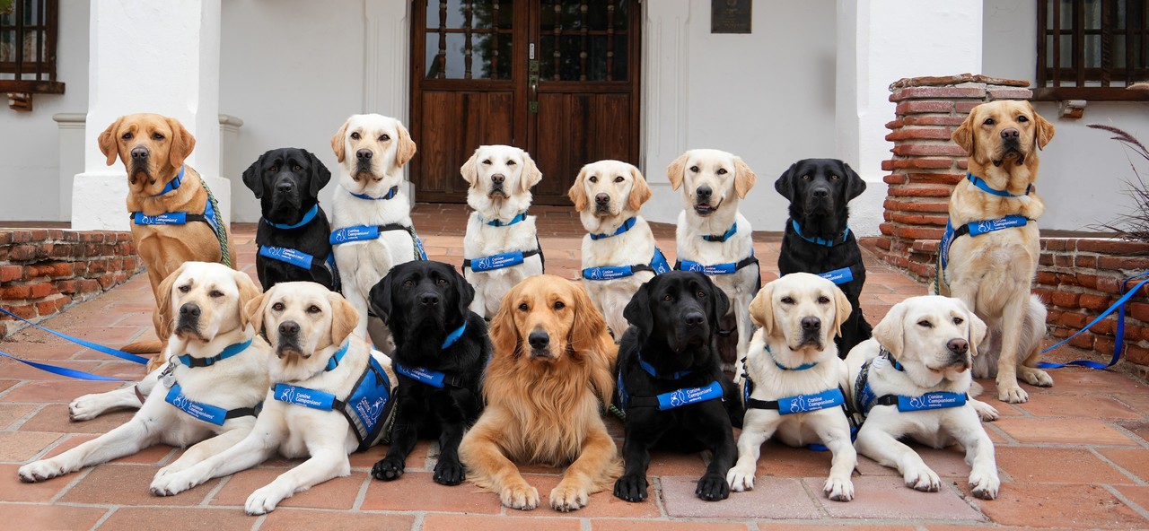 Request A National Service Dog Month Proclamation!
