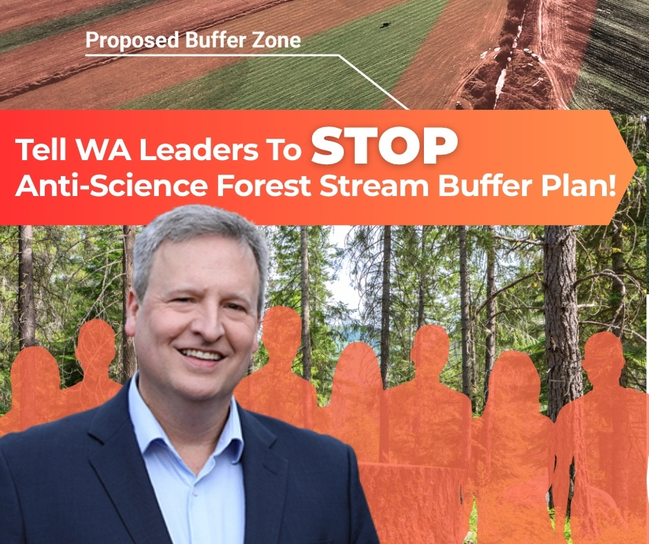 Tell WA Leaders To Stop Anti-Science Forest Stream Buffer Plan!