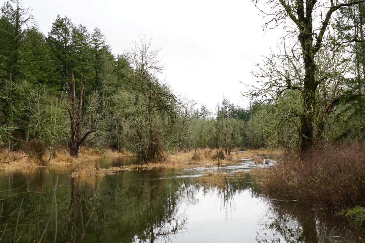 Support WDFW land acquisition in the Chehahlis Basin